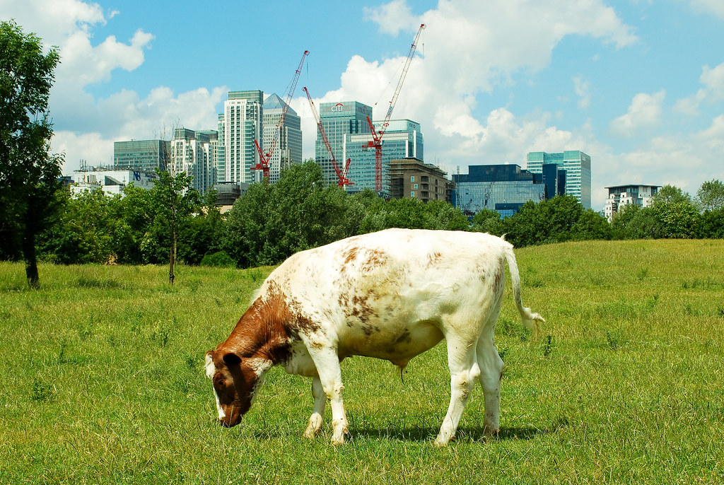 Carving the Country into Urban and Rural: A Q&A With the U.S. Census ...